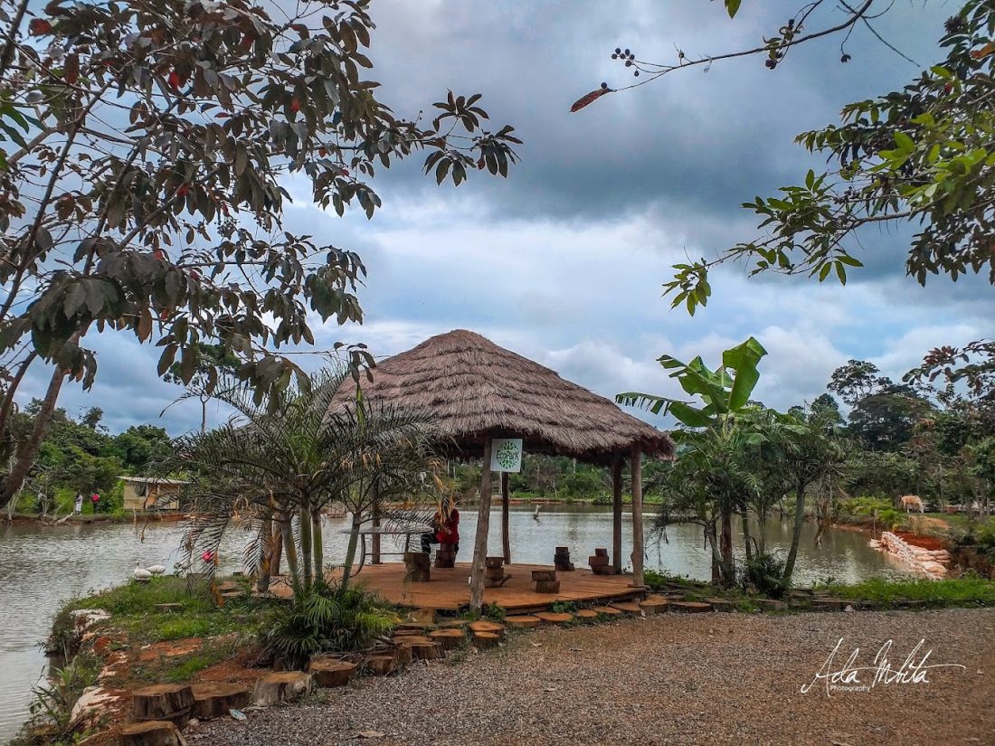 Eco Park - Visit Yaoundé